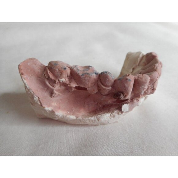 Vintage | Accents | Vintage Cast Dental Teeth Mold Tooth Castings 2 ...